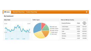 Importance of Google Web Analytics in SEO - Brandignity