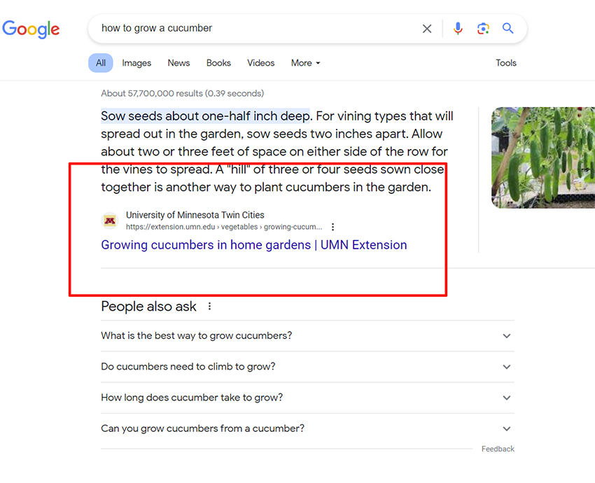 7 Ways to Earn the Featured Snippet Spot in Google Search